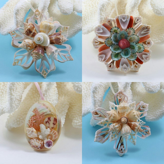 Seashell creations from the beautiful Florida by TheSleepySeahorse