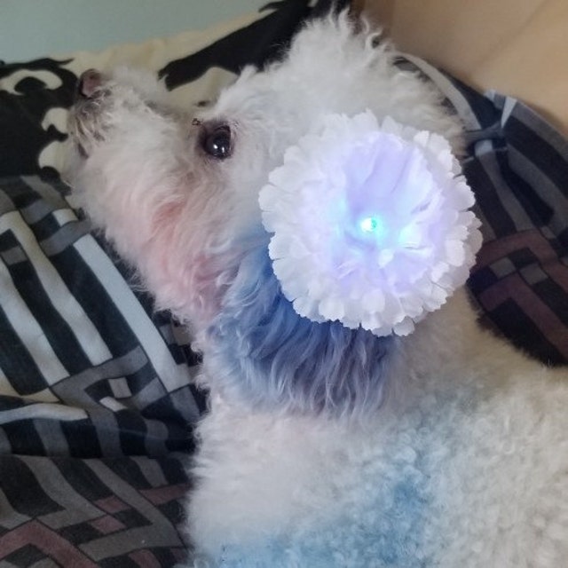 ZuZu Flowers the Light-up LED Hair Clip by LEDlutions on Etsy