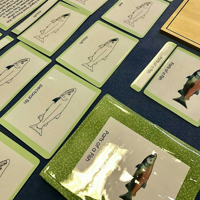 Montessori Materials By Request By Montessorimaterial On Etsy