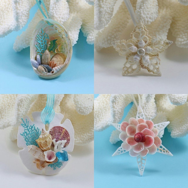 Seashell creations from the beautiful Florida by TheSleepySeahorse