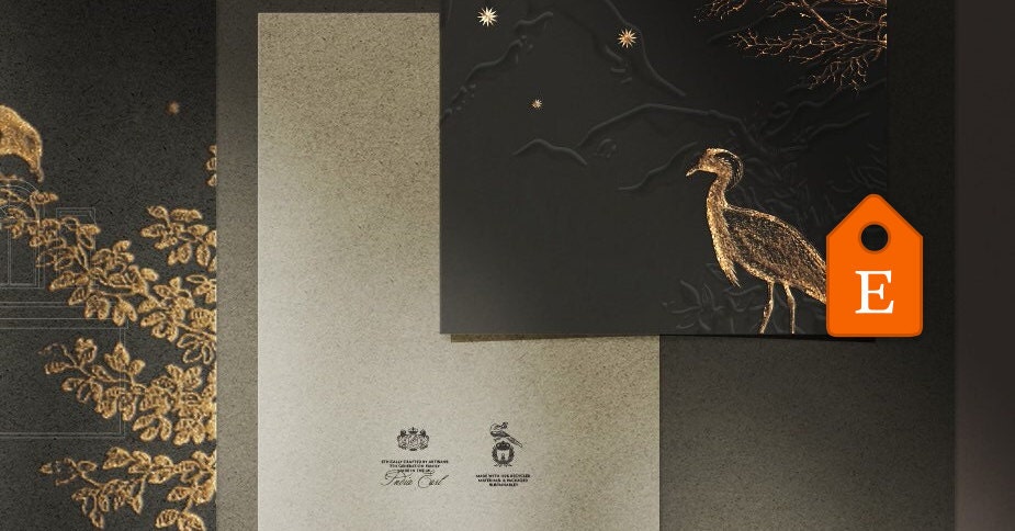 FULL Rebranding Package Business Rebranding Package Complete - Etsy