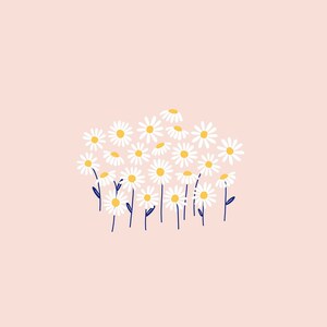 Twitch Stinger Transition Cute Pink Flower Stream Transition Animated ...
