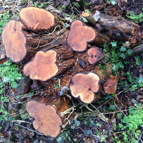 ITH in the Hoop Round Tuit Coaster Machine Embroidery Design Pattern ...