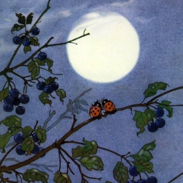 St. Vincent Signed Autographed Daddy's Home Record Album LP - Etsy