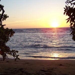 Math in Nature Pi Inquiry & A Backyard Field Study - Etsy