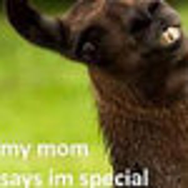 Natural Fiery Rainbow Moonstone Trillion Cut 10 X 10 X 10 Mm 18 X 18 X ...