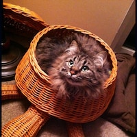 Louisiana Heart Flag SVG, LA USA Love Shape Flag, State Icon Symbol ...