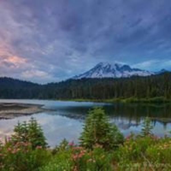 Zelda Machine Embroidery Design Hylian Shield With Master Sword 3x3 - Etsy