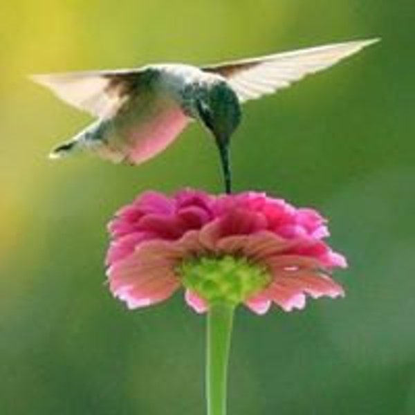 Extra Large Christmas Stocking Pattern DIY Christmas Stockings With ...