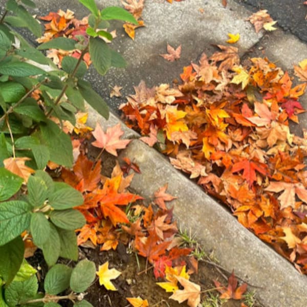 Team Roping Cowboys Silhouette Machine Embroidery Design, Calf Roping ...