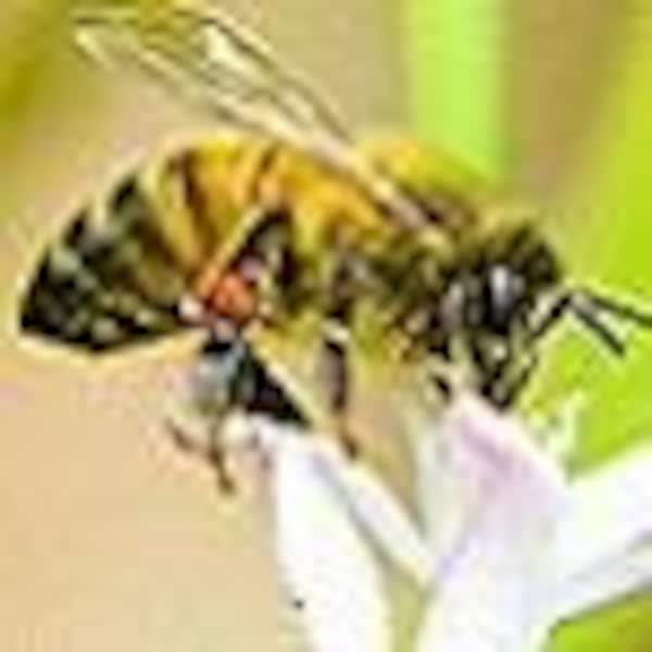 Calming Light Blue Overthinker Hat trendy Embroidered Baseball Cap Chic ...