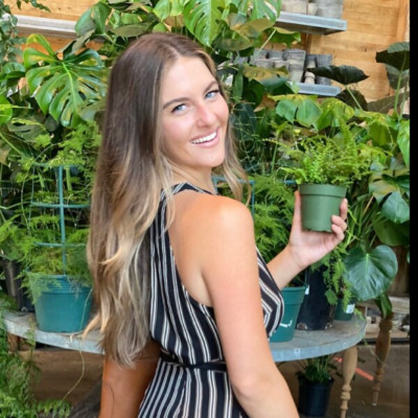 Super Sturdy RX Crossfit Box With Bracing, 30 X 24 X 20 Box, Plyo Box ...