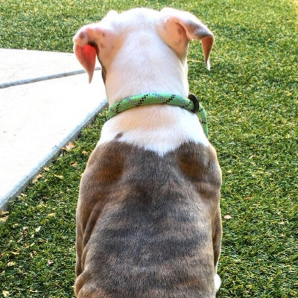 CROCHET PATTERN Manta Ray Jacque the Manta Ray With Handkerchief Eco ...