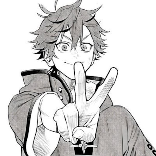 Fire Emblem Awakening Chrom and Robin Poster 13x19 - Etsy