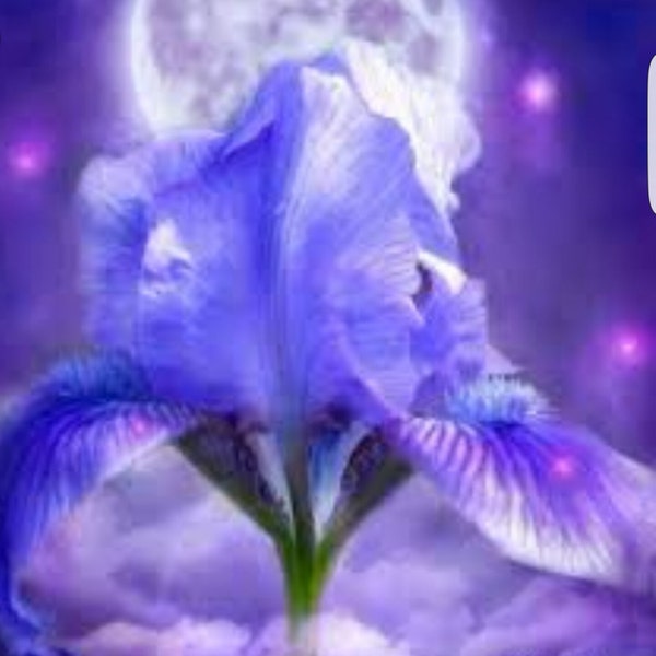 How Many Kisses for the Misses, Bridal Shower Game: Count the Kisses ...