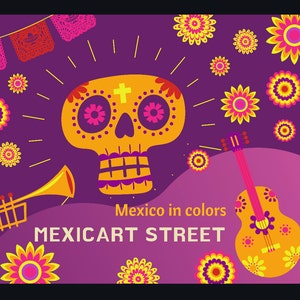 The Juno Longwing Butterfly, Dione Juno, Wings FOLDED or Mounted wings Spread, Preserved, Dried ...