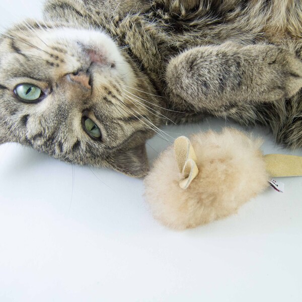 TheEcstaticCat - Etsy