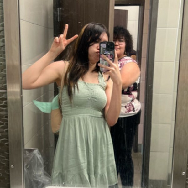 Valkyrae Transparent Sticker - Etsy