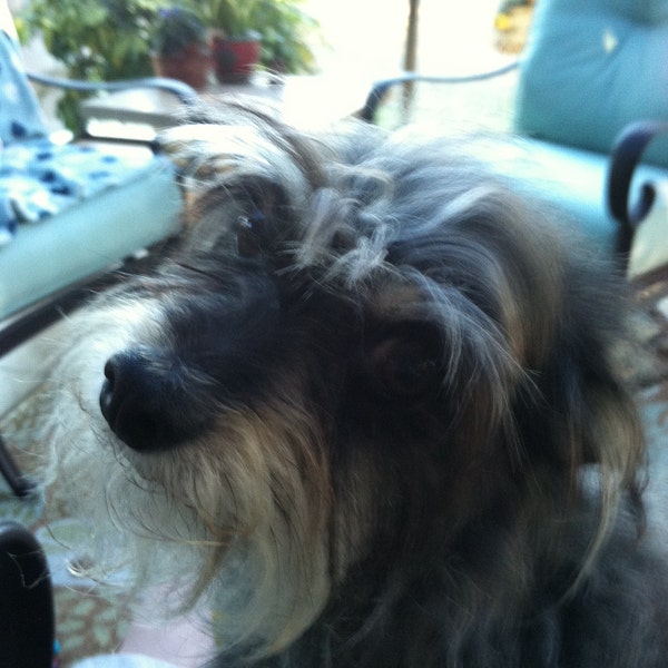 30 God Bless Stickers, Cross, Eucalyptus, Religious, Labels, Envelope ...