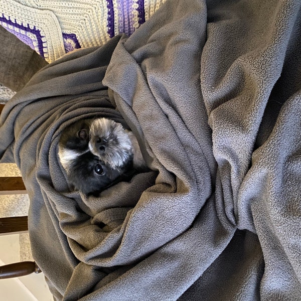 USMC Proud Marine Daughter Lettering Static Cling Window Film Support ...