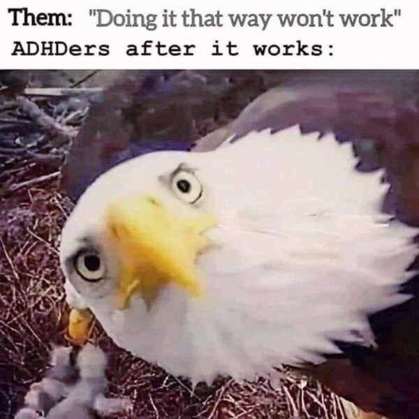 Freebies Sticker PNG, Printable Freebies Sticker, Small Business ...