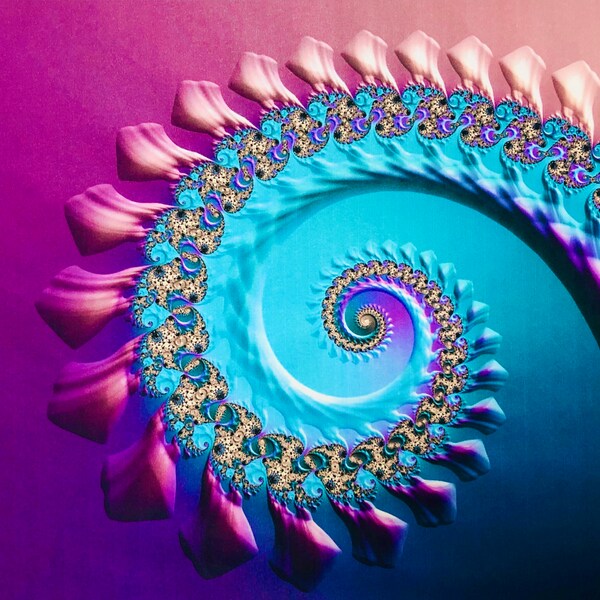 Rectangle Shadow Box Frame SVG for Cricut Projects and Spacer Paper ...