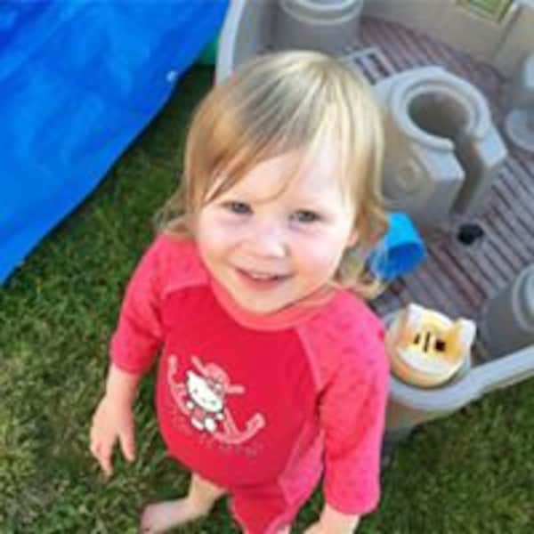 Hummingbird Hawk-moth Card Logan Botanic Gardens Blank Square Greetings ...