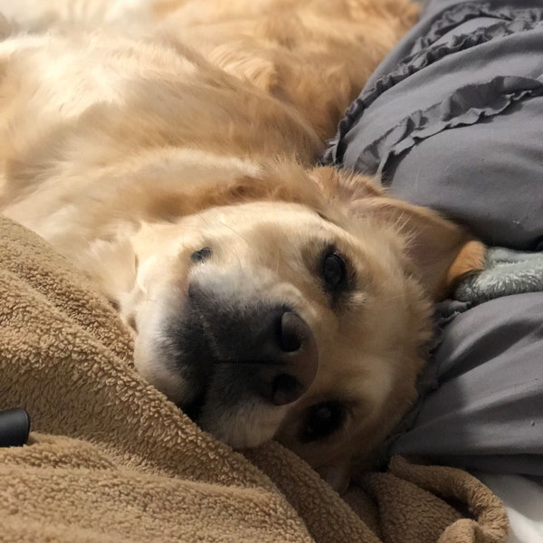 Sea Turtle Step Stool, Personalized Step Stool, Kids Stool, Turtle ...