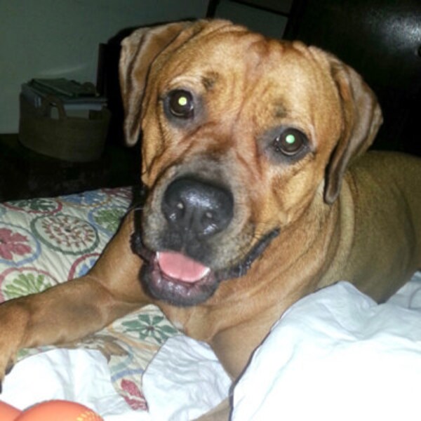 Hand Block Print Kurta Set With Dupatta/stole Indian Salwar Kameez ...