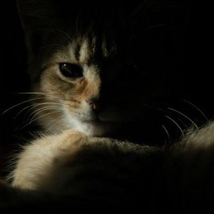 Need Input Johnny Five Short Circuit Cross Stitch Pattern PDF INSTANT ...