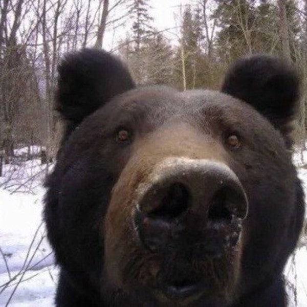 Tikkun Olam Patch Social Justice Healing the World Hebrew Language - Etsy