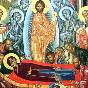 Colin Lester London Men's Dark Brown Jacket Blazer Velvet Size 40 US 50 ...