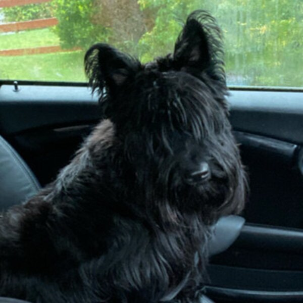 Hemp Rope Pendant Light With Knot Nautical Lighting Manila Rope Lamp ...