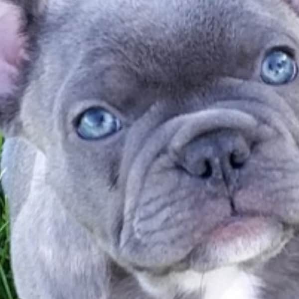 Solar Eclipse 2024 Handprint Art, Sun and Moon Handprint Art, Solar ...