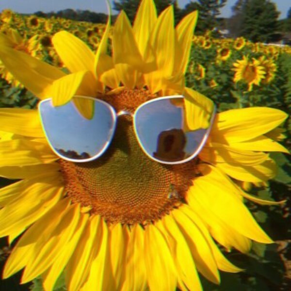 Kids Calm Down Coping Skills Cards, Grounding Technique, School ...