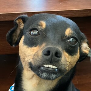 Bally Cybernaut Pinball Head LED Display Light Box - Etsy