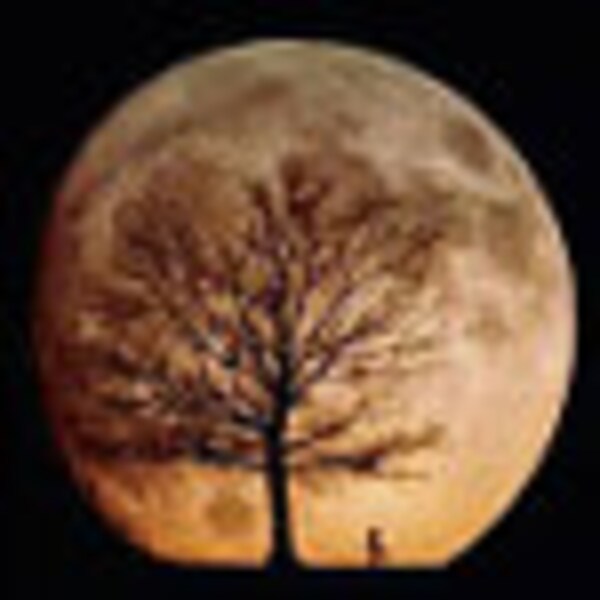 Lake Life Unsalted and Shark Free SVG, Cute Lake Life Svg, Lake Digital ...