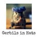 gerbilsinhats - Etsy