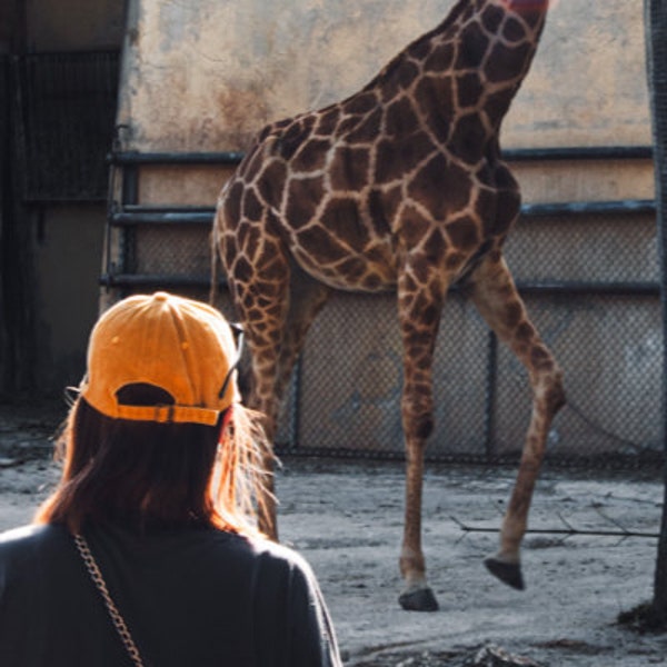 Charles Leclerc Formula One F1 Birthday Card Personalise With Age and ...
