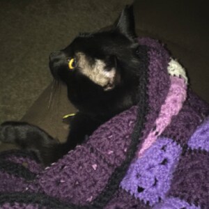 Single Color Yarn 2 O Through Z Names Solid Yarn Cake Uni Yarn ...