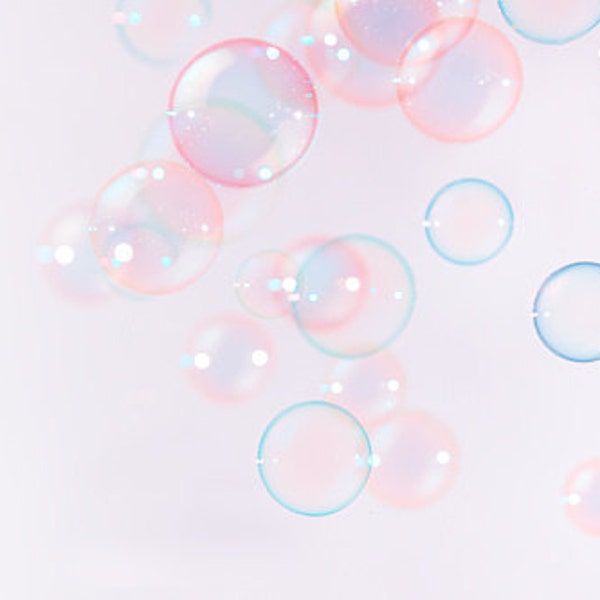 Live Mango Trees Grafted Many Variaties: Pina Colada, Super Alphonso ...