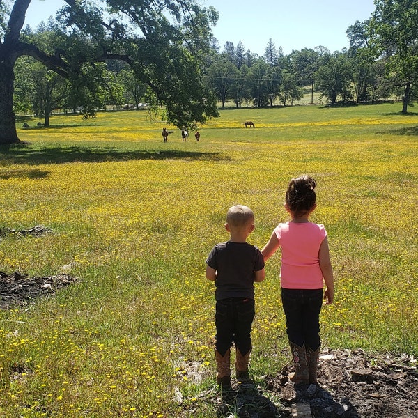 Goat Tying Svg File, Rodeo Cowboy Western Svg Cut File, Silhouette ...