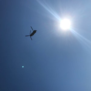 Spanish Boho Plant Flip Calendar Spanish Classroom Calendar Botanical ...