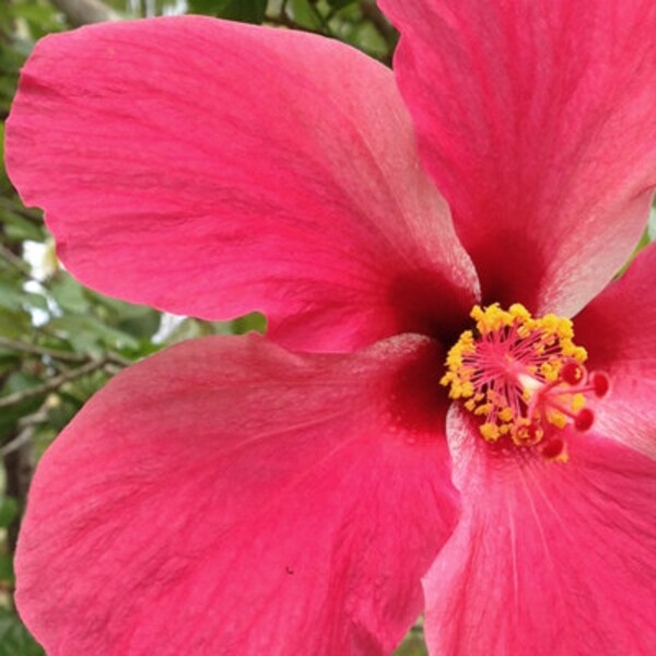 Black and Gold Confetti Digital Paper, Confetti Gold Foil Backgrounds ...