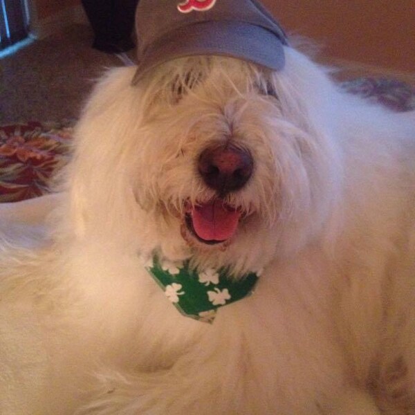 Sewing Pattern Womens Maxi Dress in Misses & Plus Sizes, Butterick ...