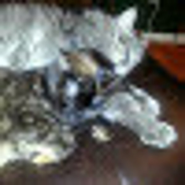 Oh Snap Printable Wedding Hashtag Party Sign Rustic Modern Social Media ...