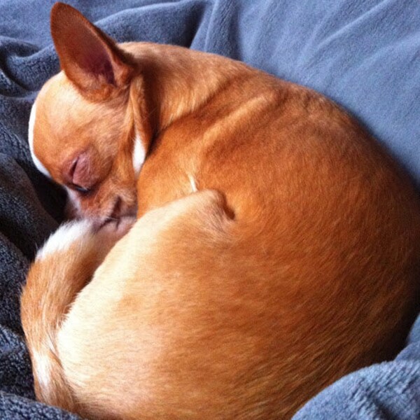 Hair Salon Dramatic Play Center / Pretend Play / Elementary School ...