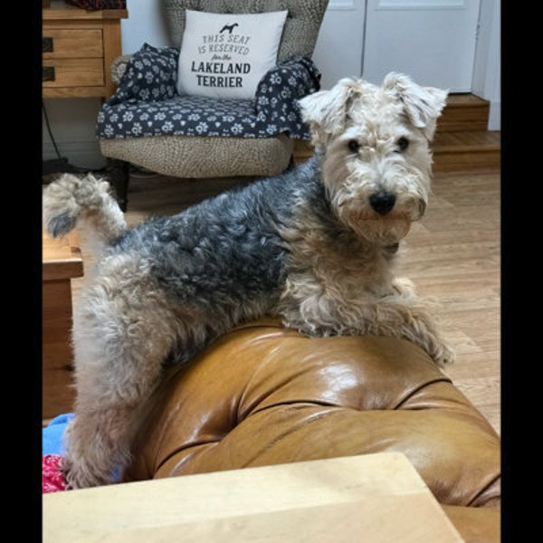 Grey Heart Check PVC Vinyl Wipe Clean Tablecloth ALL SIZES Code: C57-5 ...