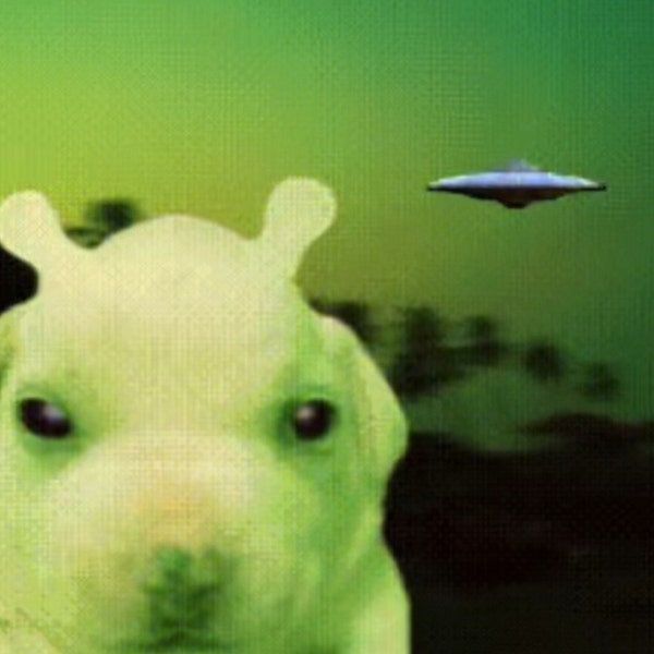 Animated Blink Anime Girl Screen/banner Cute Stream Screen Starting ...