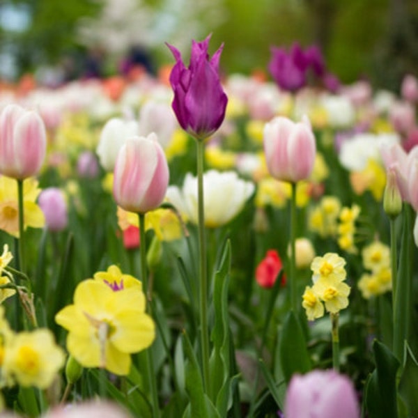 Small Batch Line Icon SVG, Minimalist Small Business Packaging Icon PNG ...